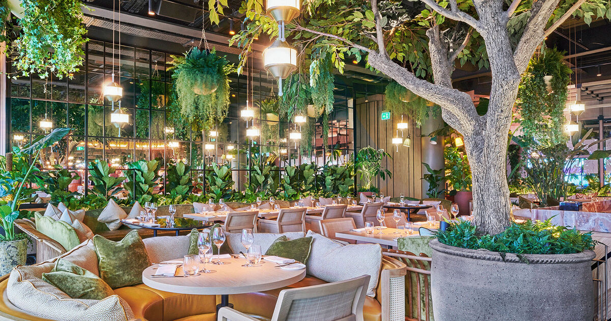 Raffles Residences Jeddah | Robert Angell Design International